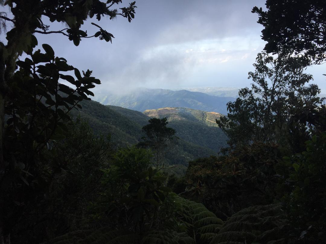 FIWI Jamaica Experience Tours – We did it! Let's share it!